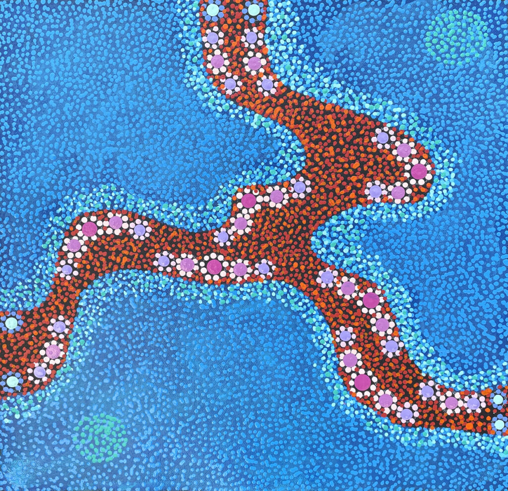 Kapi Piti Waterholes Yallingup Aboriginal Art